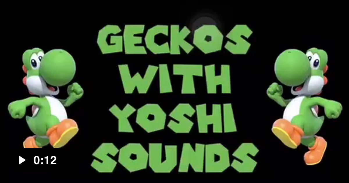 Geckos with Yoshi sounds - 9GAG