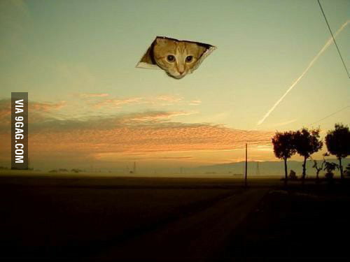 Ceiling cat - 9GAG