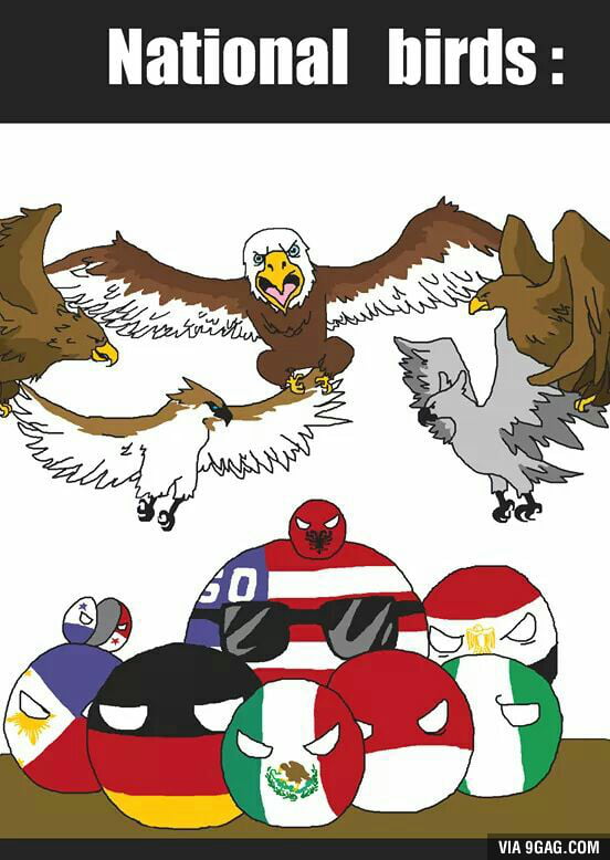 National eagles. - 9GAG