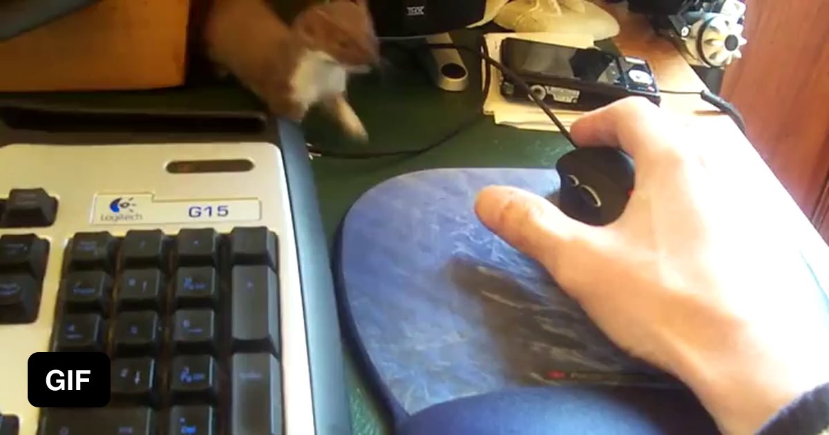 Weasel is worried about your gaming addiction - 9GAG