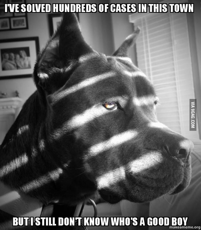 One case he may never solve... - 9GAG