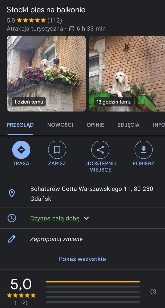 There is a spot on Google Maps in Gdańsk, Poland showing "a sweet dog ...