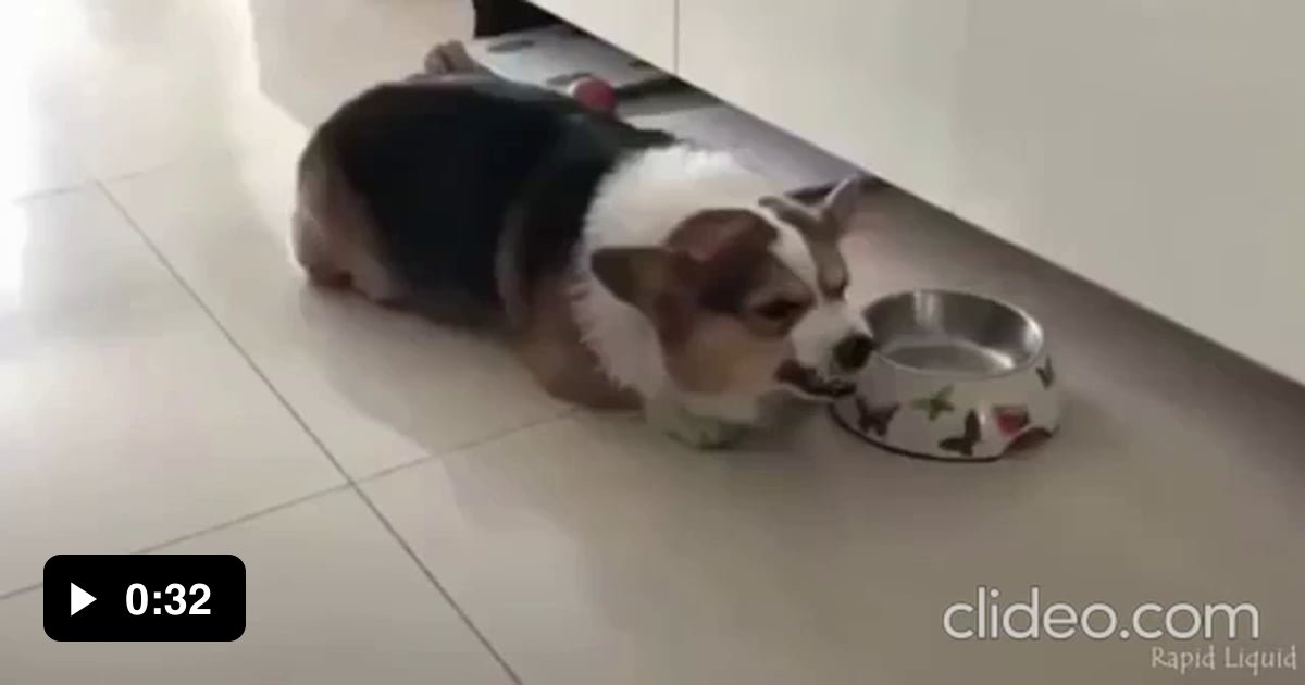 Angry bois - 9GAG