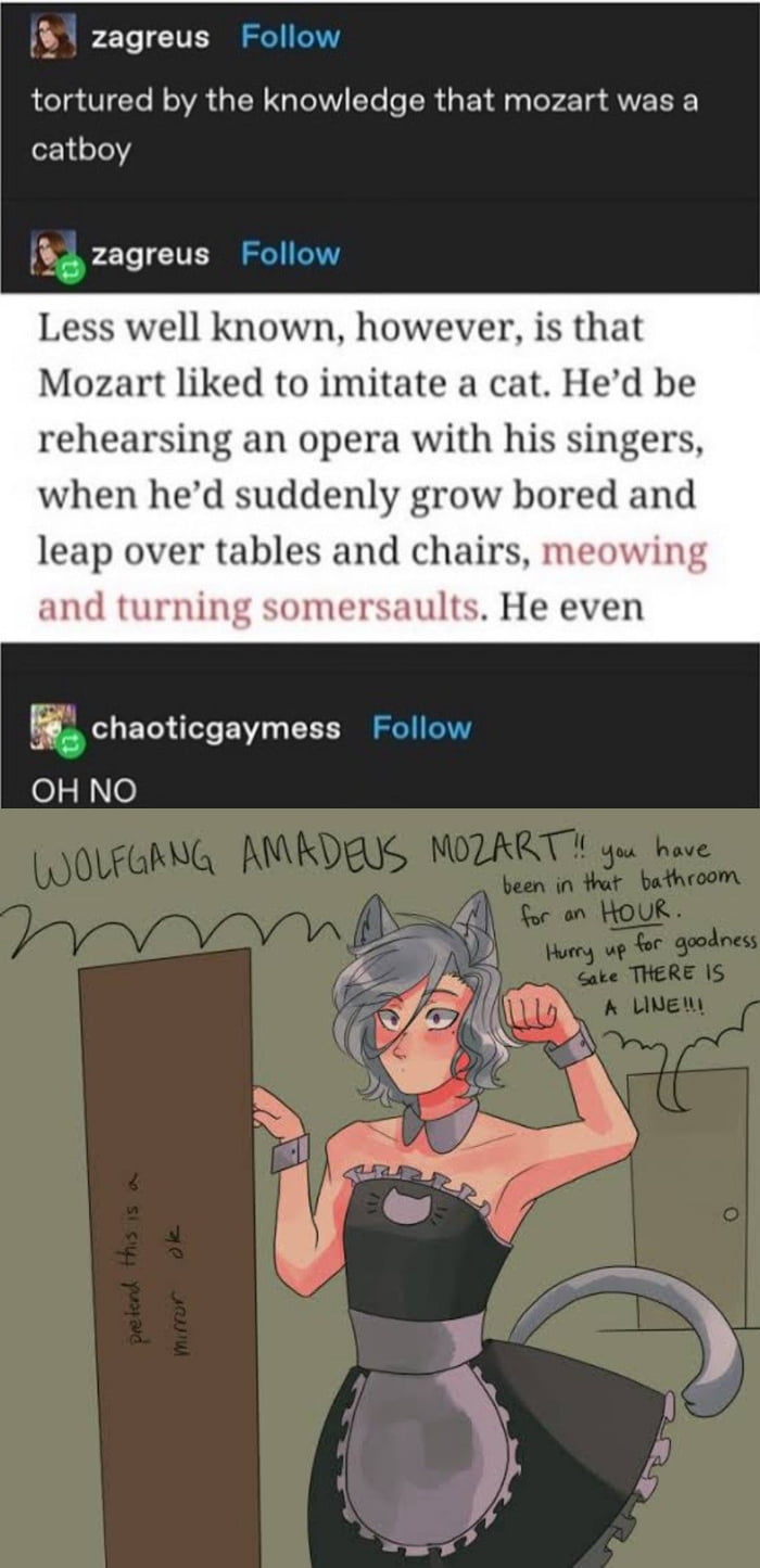Catboy Mozart - 9GAG