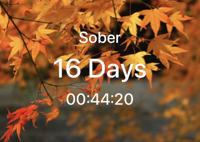 I know it’s not much but support is appreciated - 9GAG