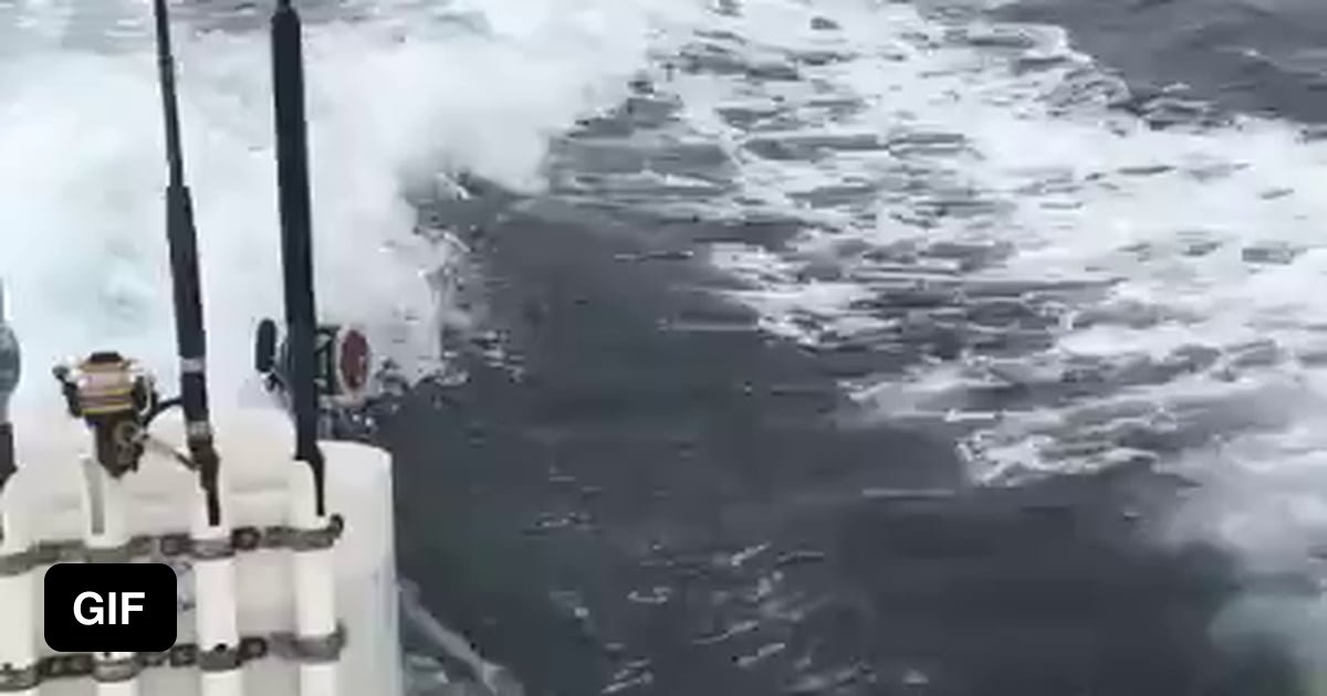 Panda torpedo murder machine - 9GAG