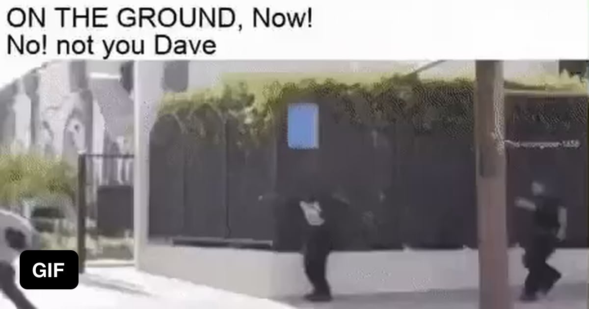 Not you Dave !!!! - 9GAG