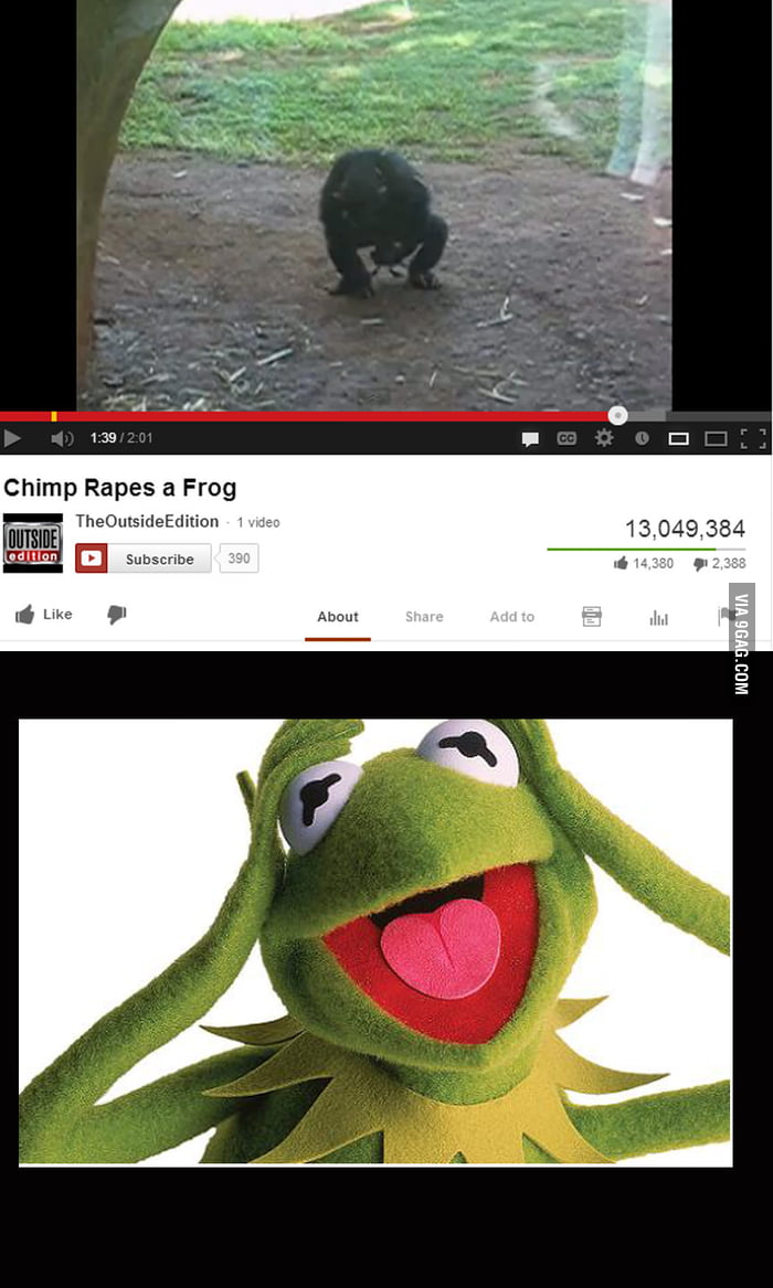 Kermit - 9GAG