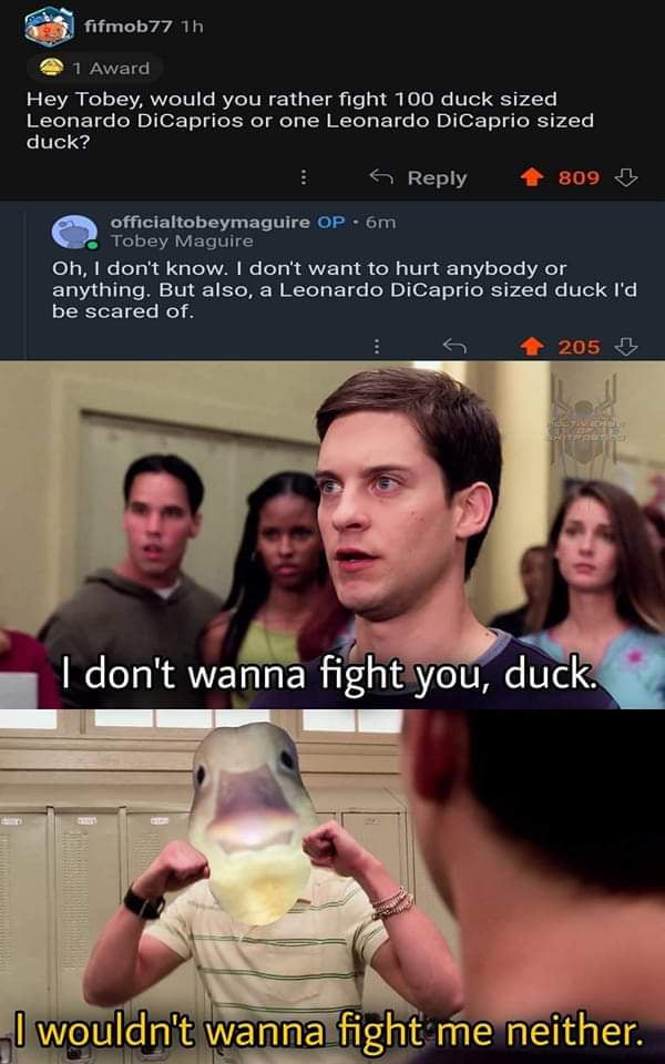 You gotta be ducking kidding me - 9GAG