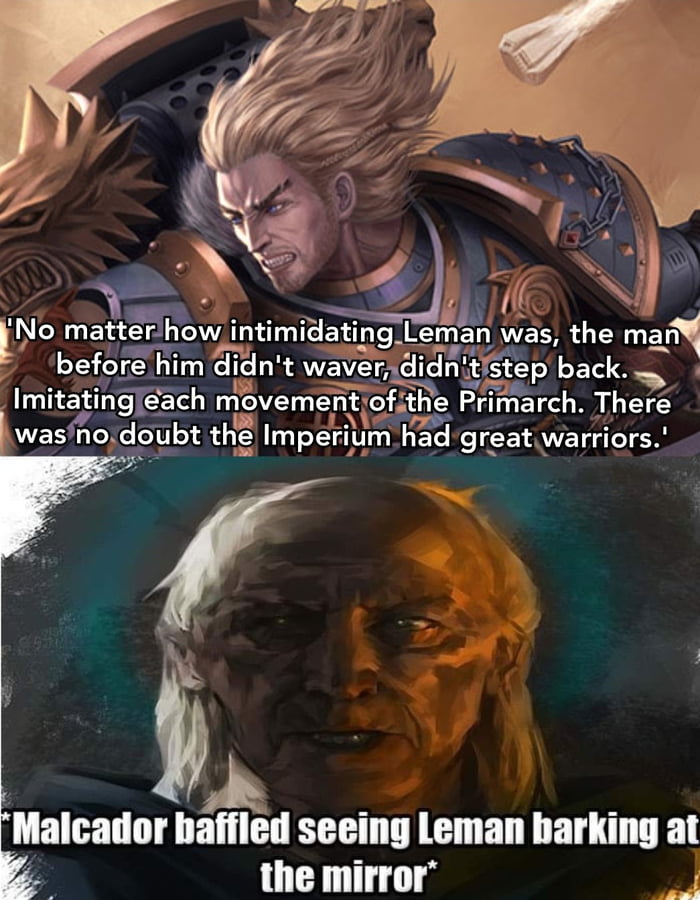 He may be stupid, but he's a good boi. - 9GAG