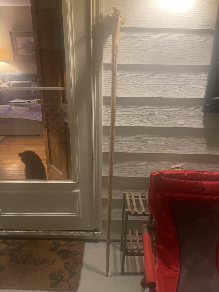 Something about sticks so here is my contribution… my glorious wizard ...