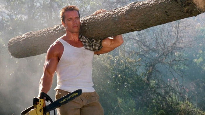 Arnold got a stick too - 9GAG