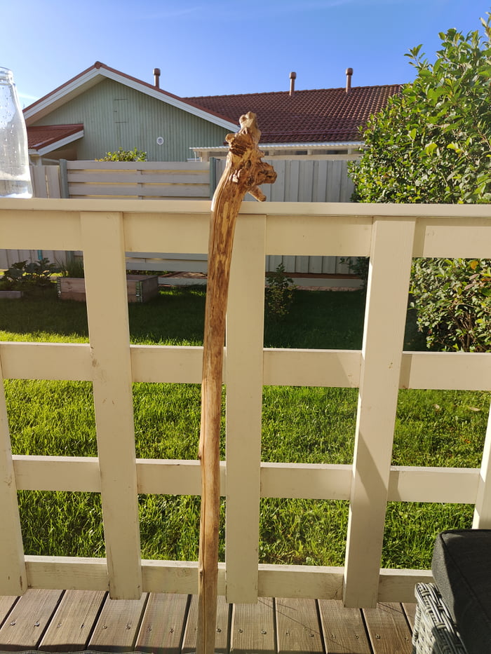 It's just a stick but it's my stick - 9GAG