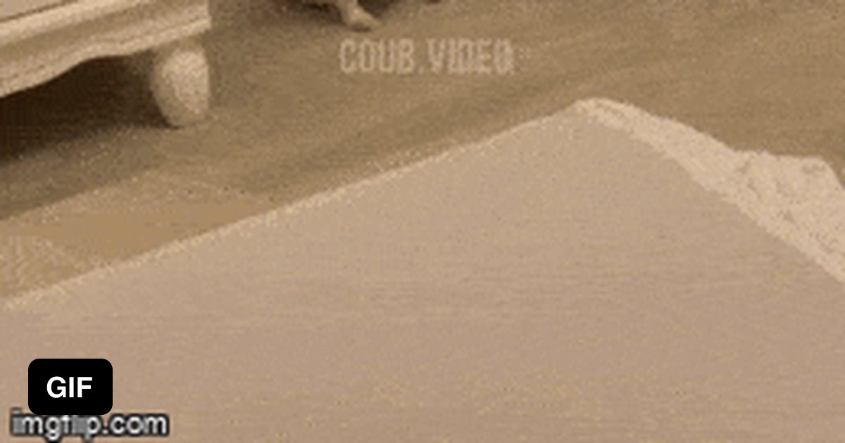 Once we wuz wolves. - 9GAG