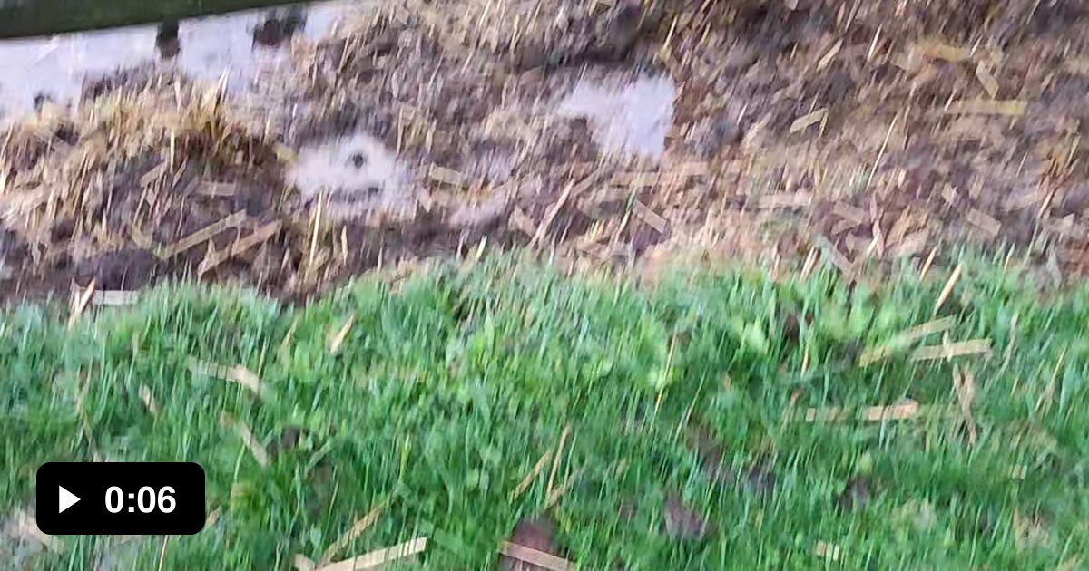 Gentlemen, it is with great pleasure to announce that I booped the ...