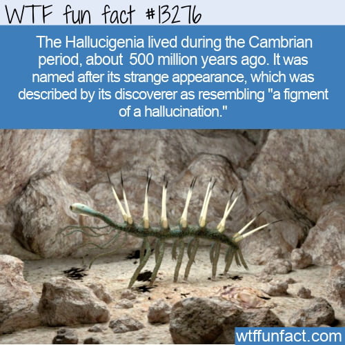 Prehistoric danger hugs - 9GAG