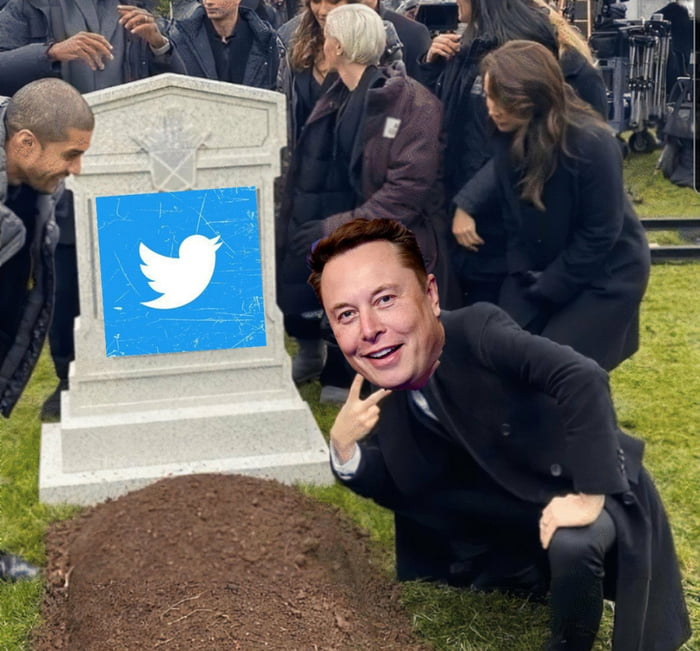 RIP blue bird - 9GAG