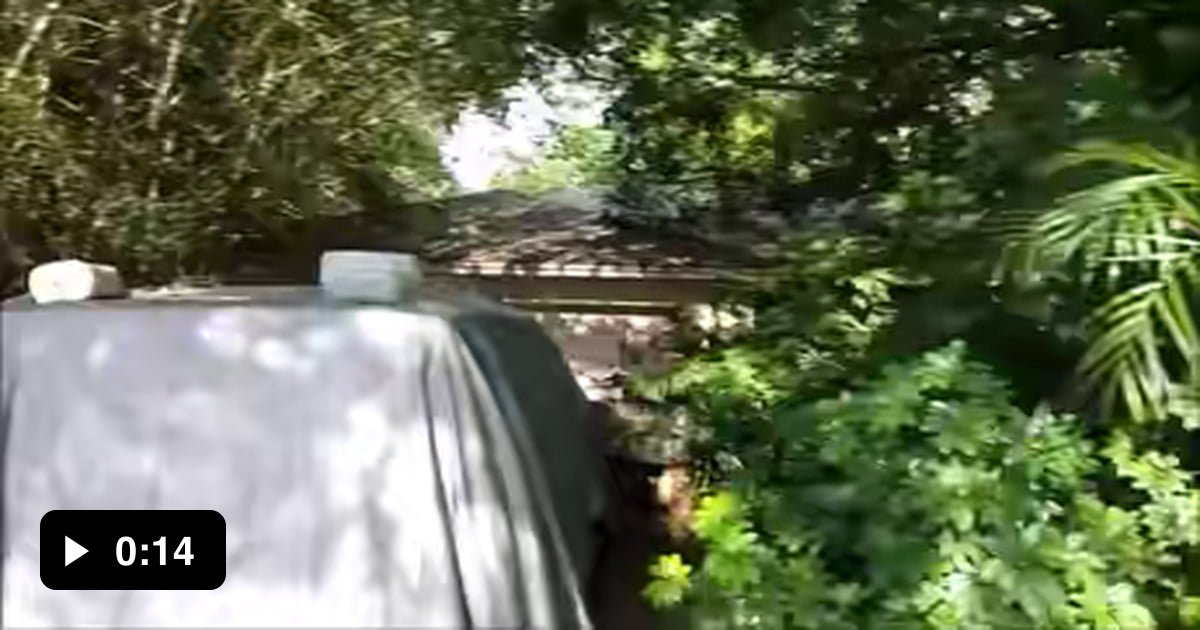 Real life NPC - 9GAG