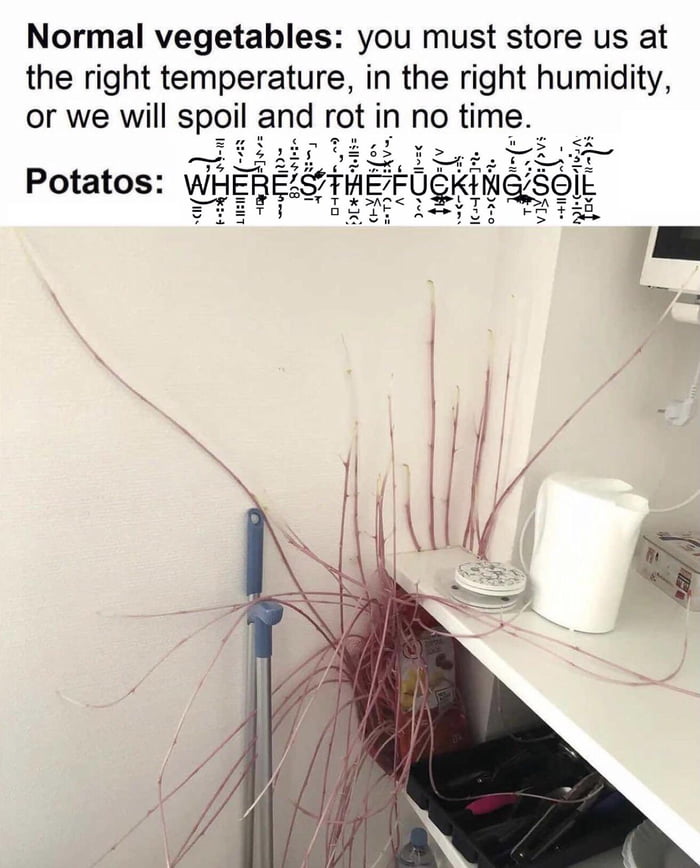 Why they gotta turn into an eldritch horror - 9GAG