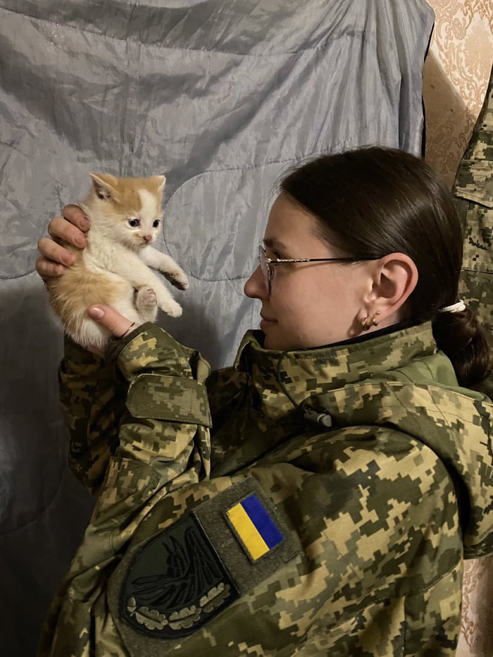 Cats #37 💛💙🇺🇦 - 9GAG