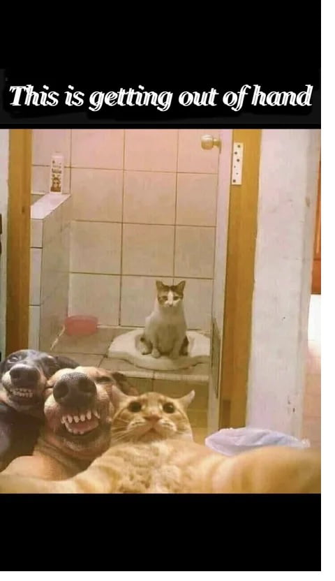 Selfie 9gag