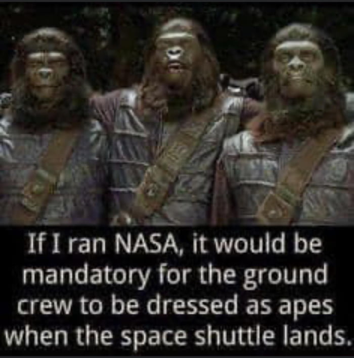 One small step for simians… - 9GAG
