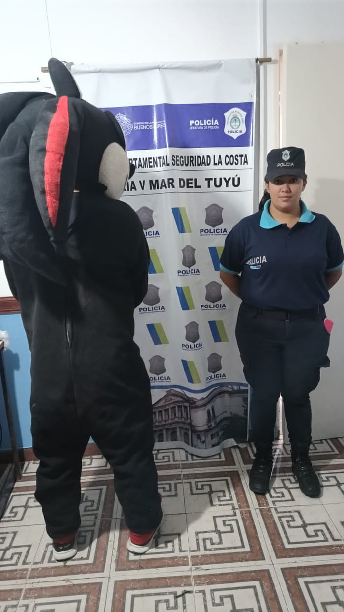 Shadow was arrested for touching a little girl - 9GAG