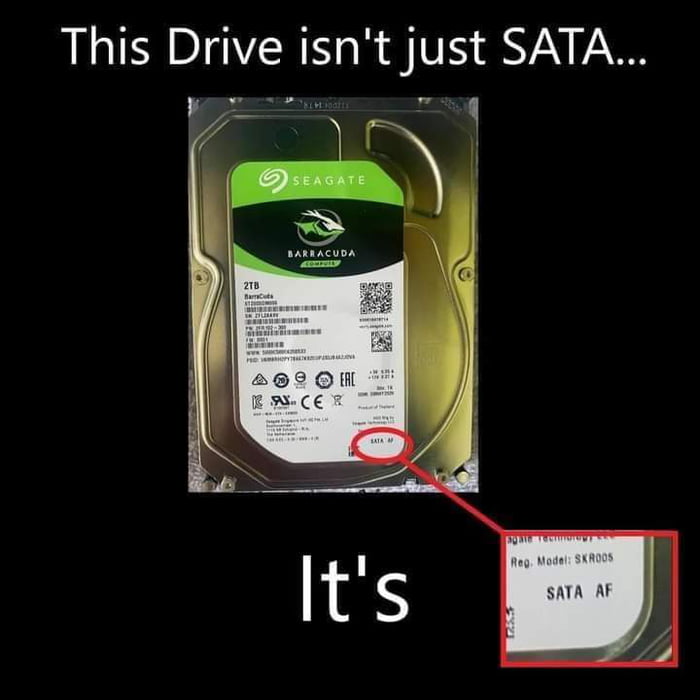 Very Much So 9gag