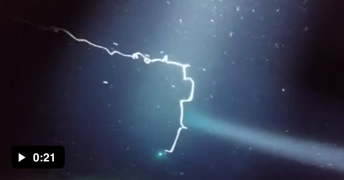 Exploding worm: Epitoky (YT: rogeringersoll) - 9GAG