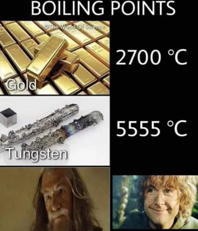 Fool Of A Took Meaning