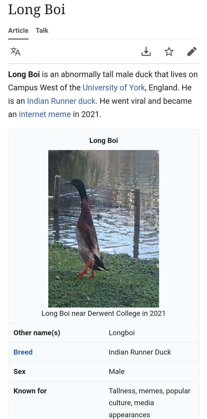 Damn boi, he long - 9GAG