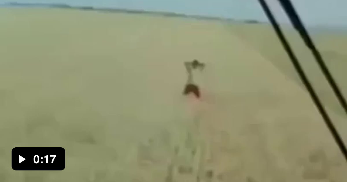 Here It Comes 9gag 2489