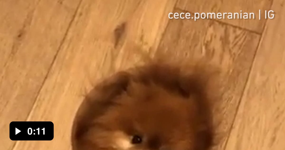 Would you like a glass of fluff? - 9GAG