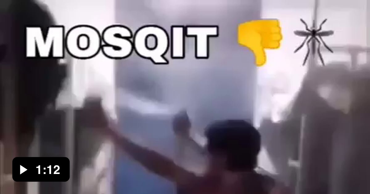 The mosquitoes punisher, the El mosco enemy - 9GAG