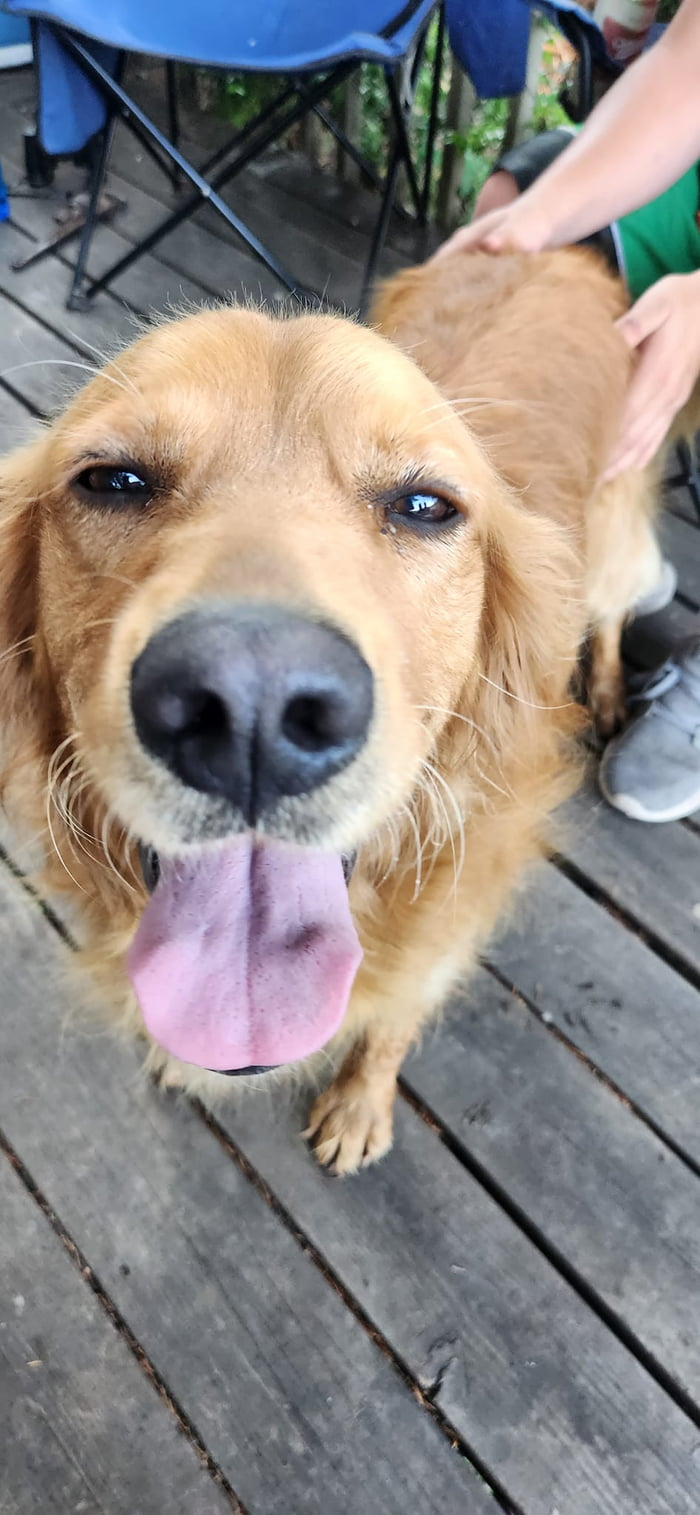 When the scratch hits just right! - 9GAG