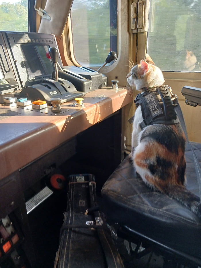 Freight train engineer Kitty. - 9GAG