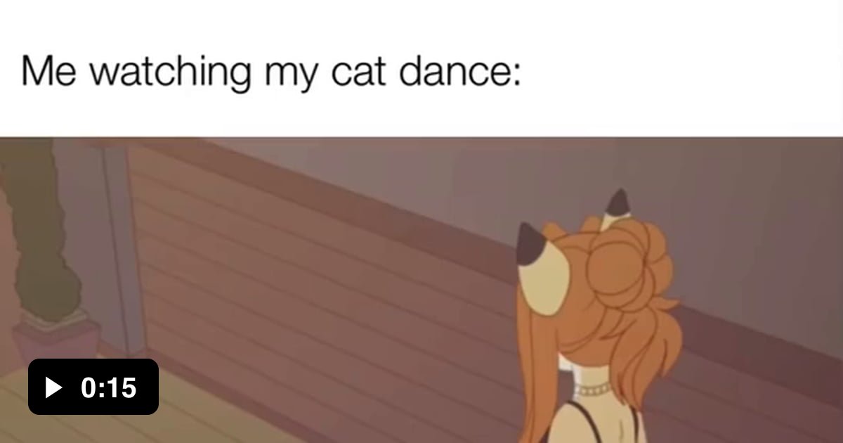 The Kitty Cat is Dancing - 9GAG