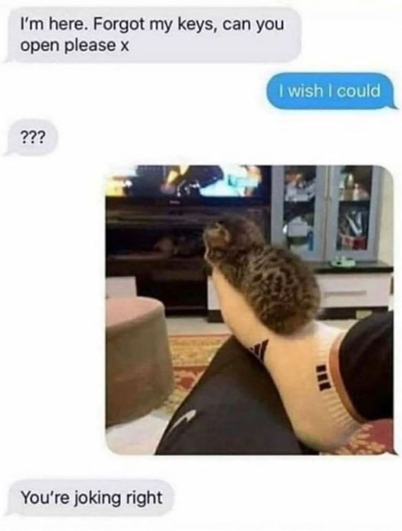 That's a caterpillar - 9GAG