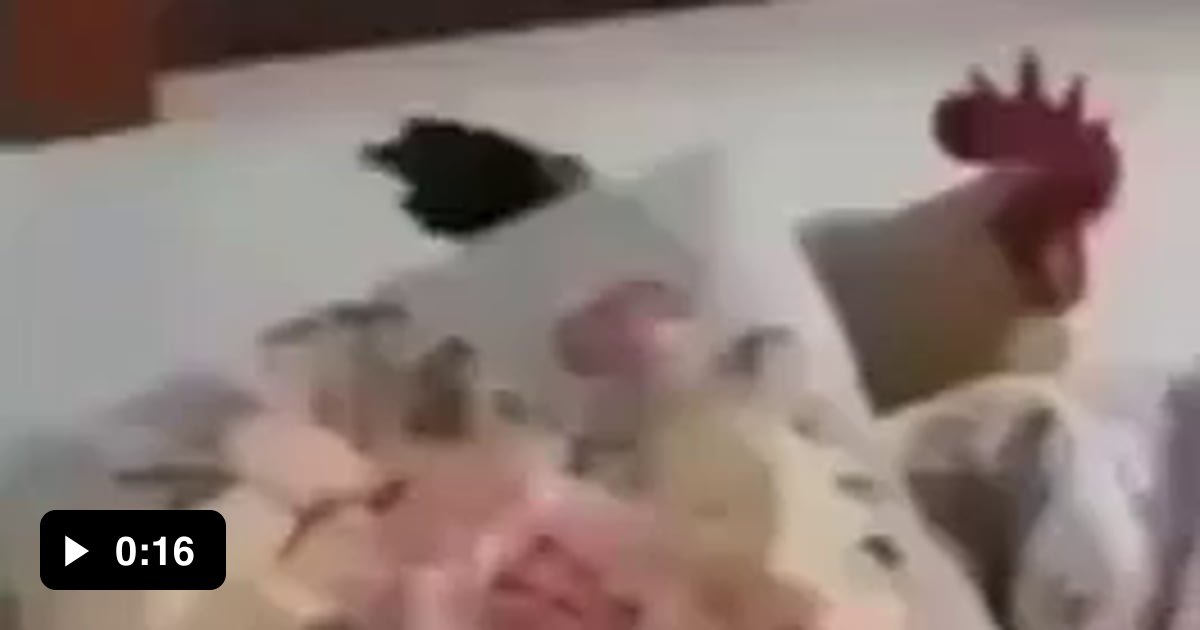 Portable alarm with conscience. - 9GAG