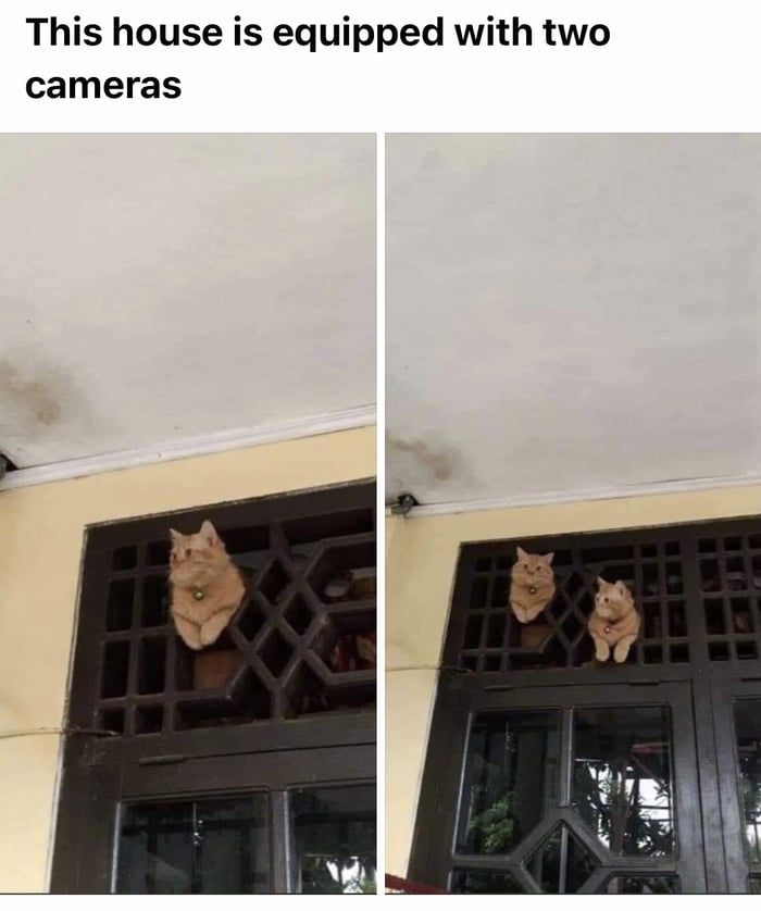 Lovely cameras - 9GAG