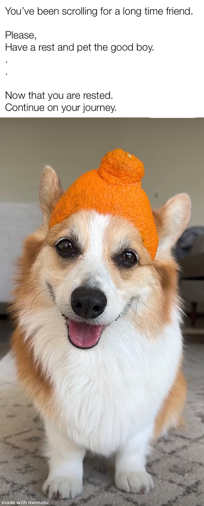 *pets the good boi - 9GAG