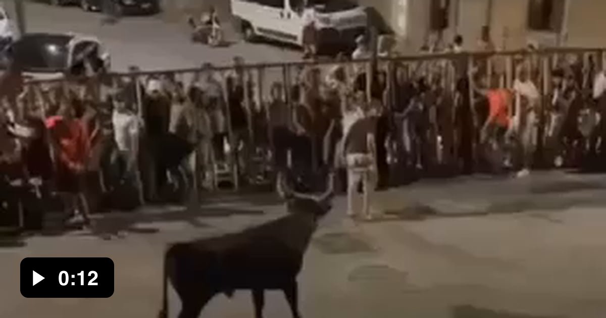To make fun of a ragging Bull - 9GAG