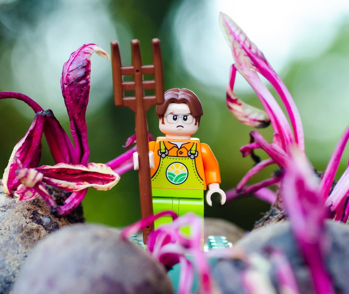 Dwight, Beet farmer - 9GAG