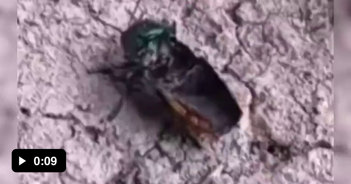 I used to be cool, now I’m just a shell of my former self. - 9GAG