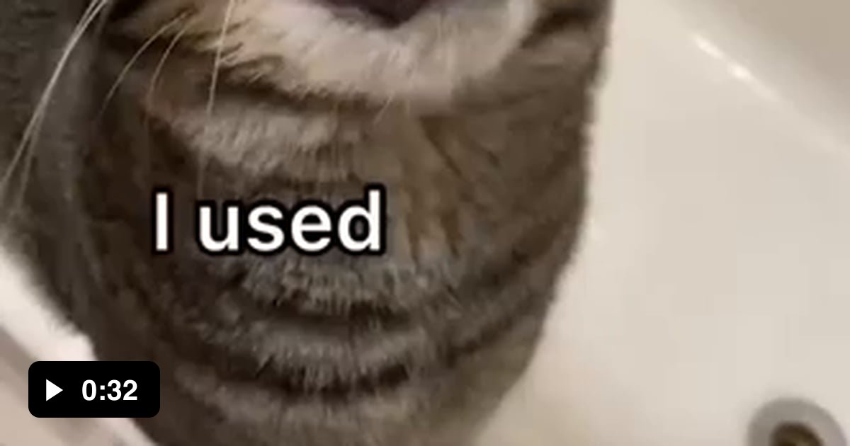 Call 1-800- Try Cats Today!!! - 9GAG