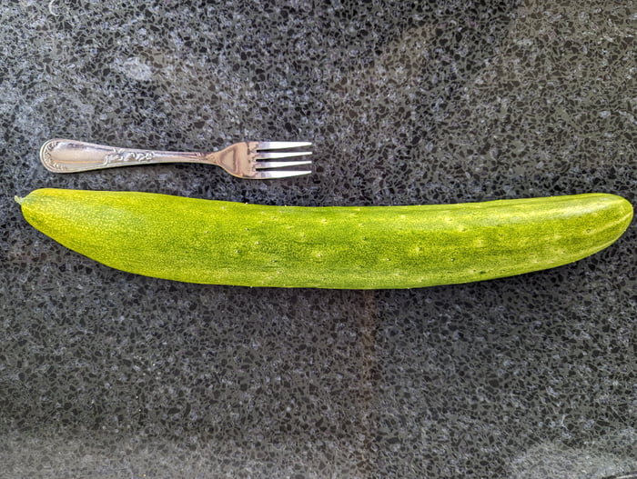 Of a cucumber - 9GAG