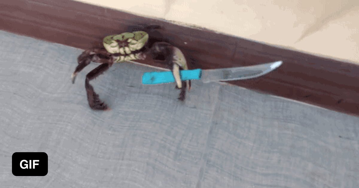 Mess with the crabbo, you get the stabbo. - 9GAG