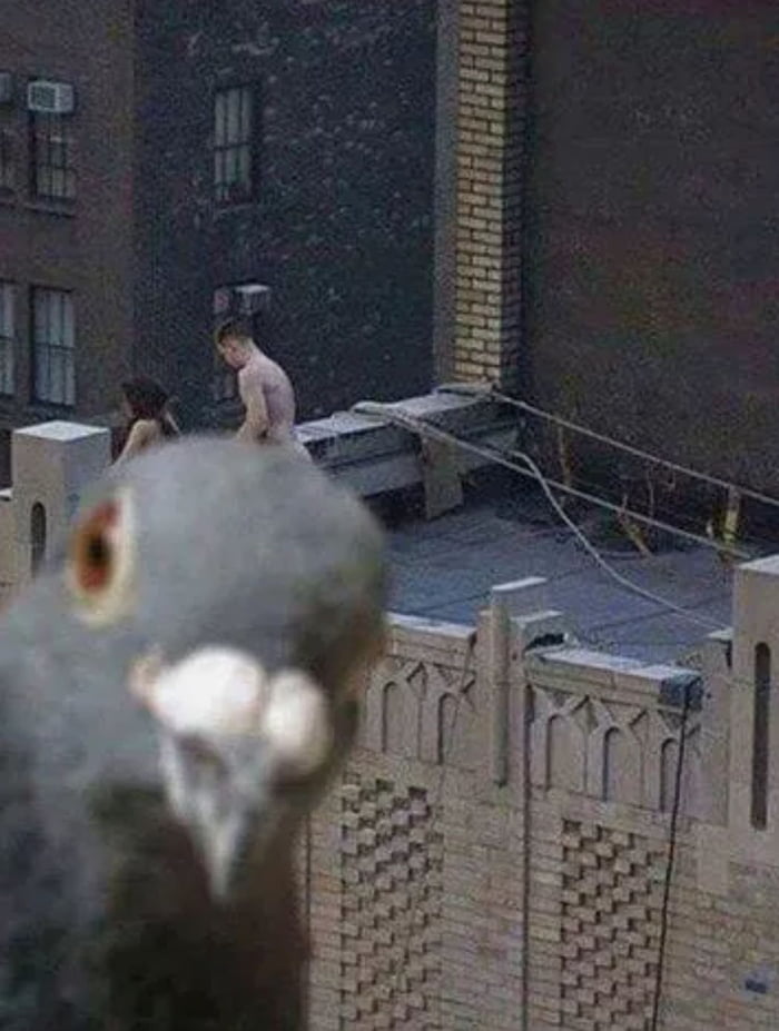 U want sum fuk? - 9GAG