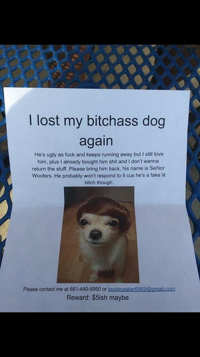 Señior Woofers - 9GAG