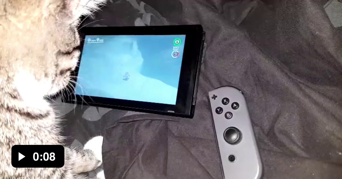 Whut?! Where did Cappy go?! - 9GAG